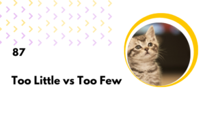 87: Too Few vs Too Little / Za Mało – Teacher Ola Podcast